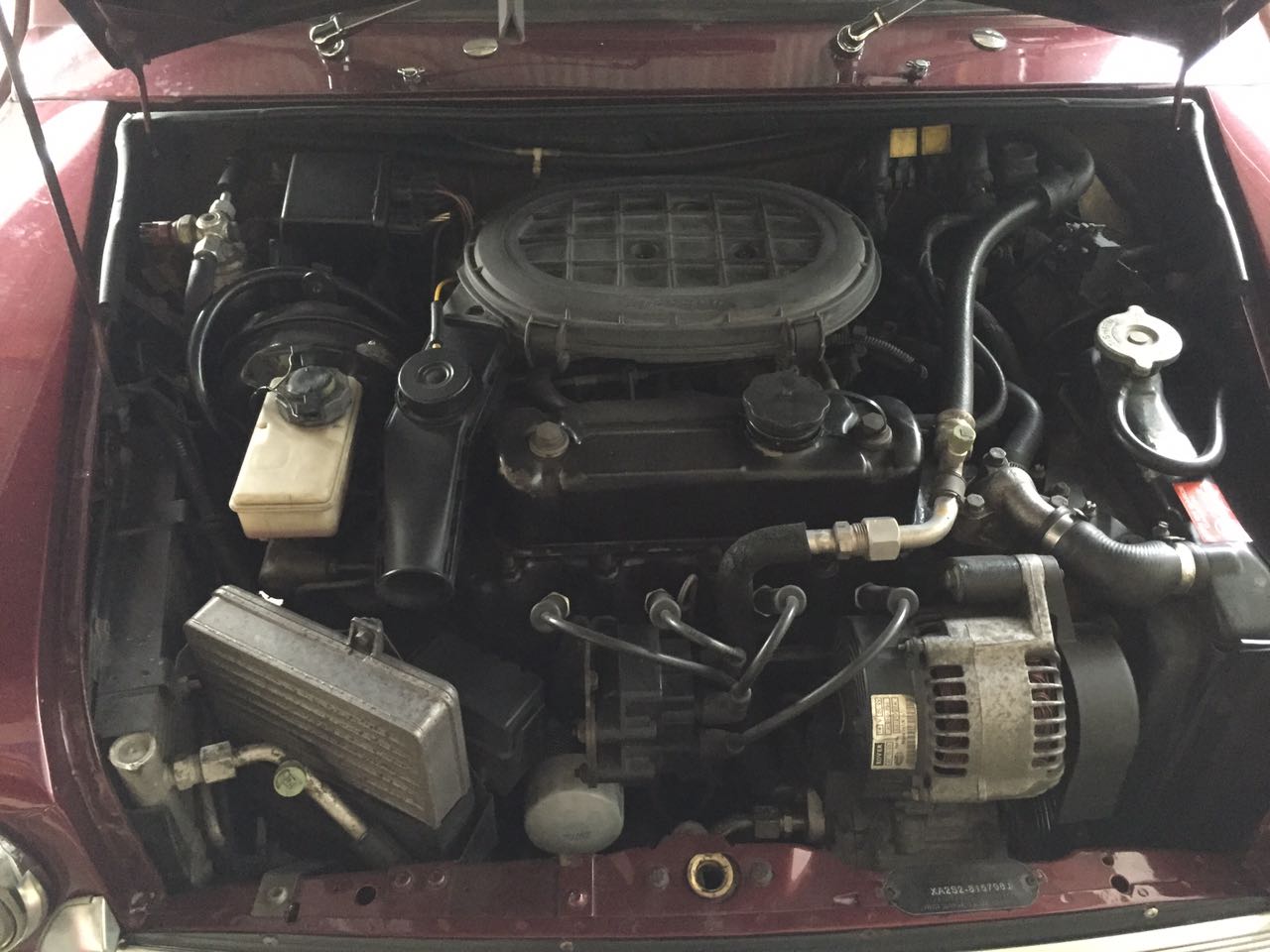 A Beautiful 1999 Mini Cooper 40th Anniversary